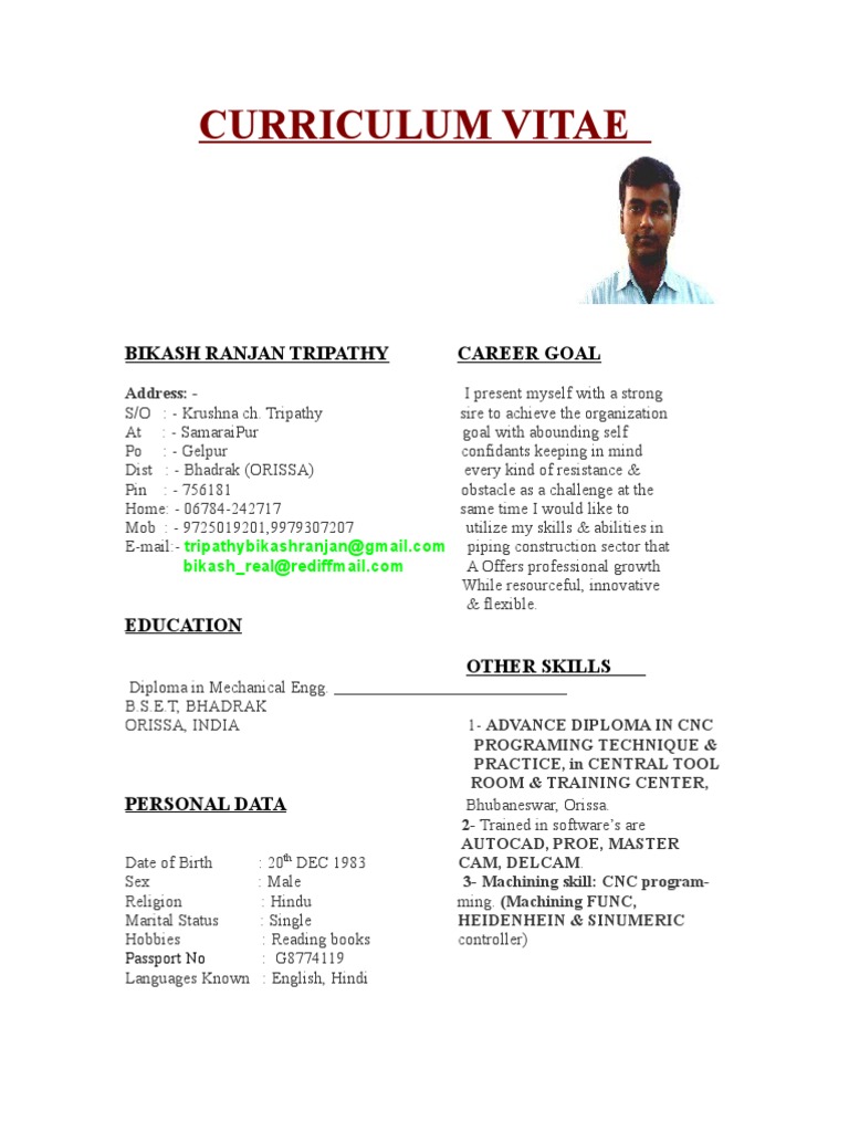 Curriculum Vitae: Bikash Ranjan Tripathy Career Goal | PDF | Pipe (Fluid Conveyance ...