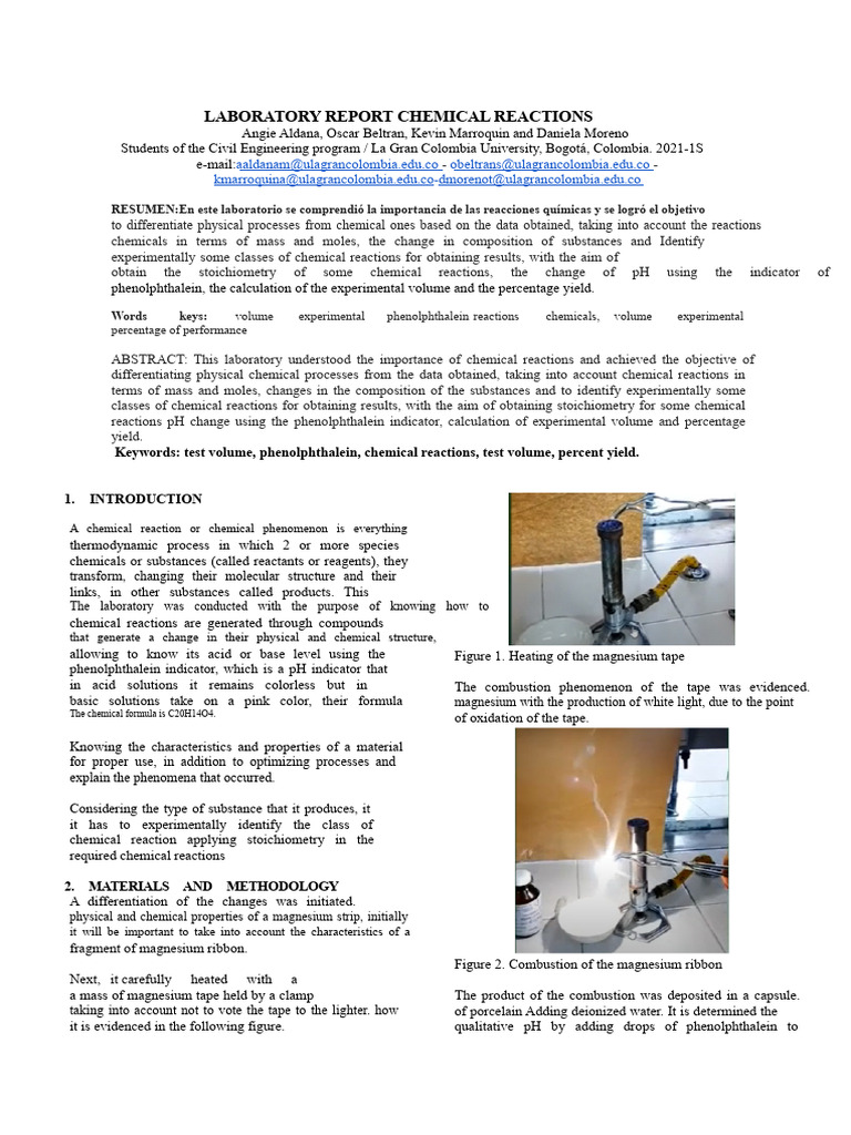 Chemical Reactions Laboratory Report | PDF | Magnesium | Chemical Reactions