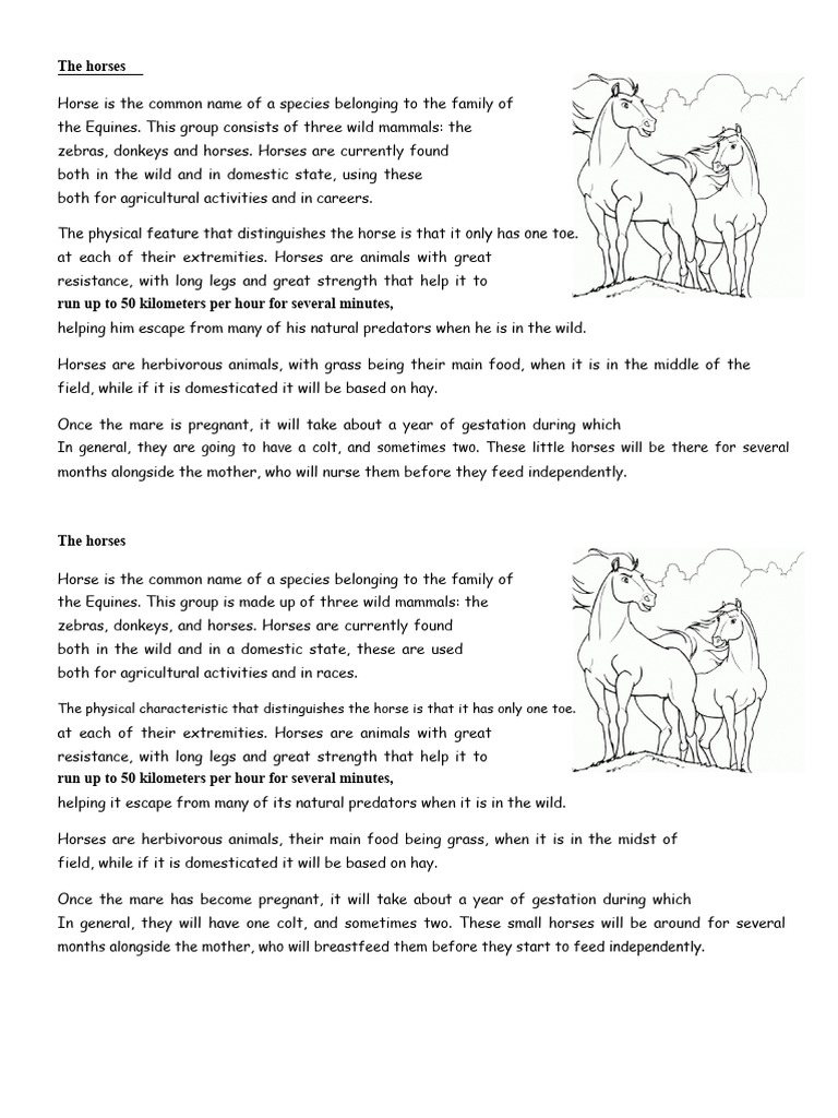 The Horses | PDF