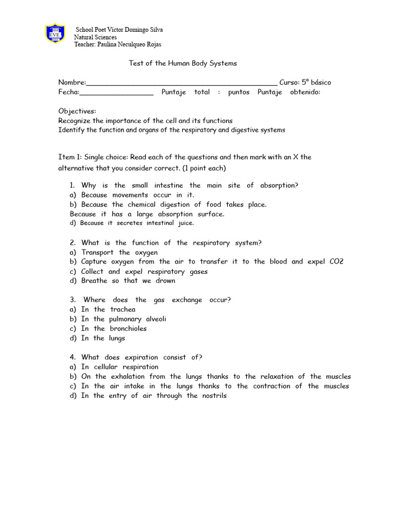 Human Body Systems Test for Students | PDF | Respiratory System | Lung