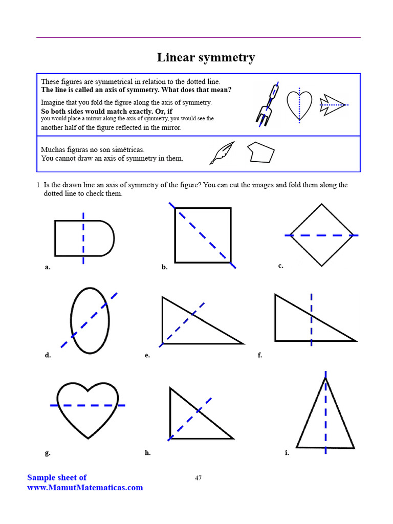 Initial Geometry Linear Symmetry | PDF