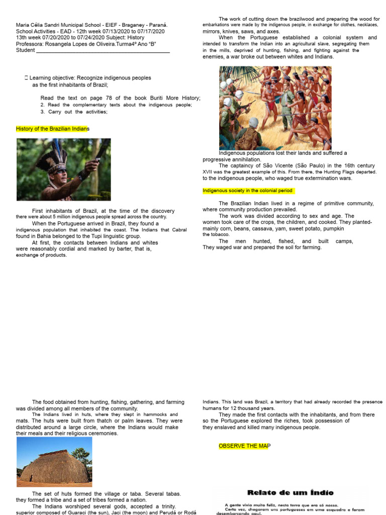Indigenous Peoples and Brazil's Discovery | PDF | Brazil | Indigenous ...