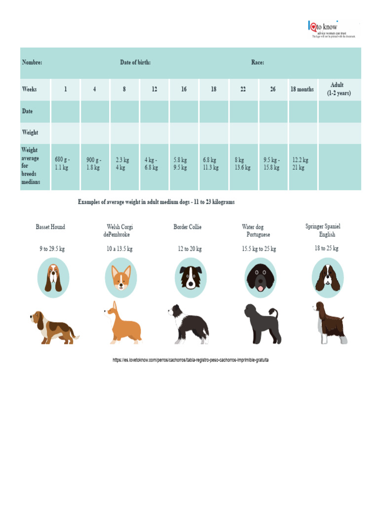 Adult Dog Weight Chart by Breed | PDF