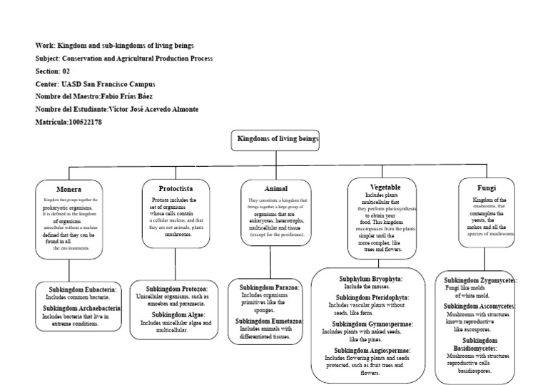 Kingdoms and Sub-kingdoms of living beings | PDF | Biology | Organisms
