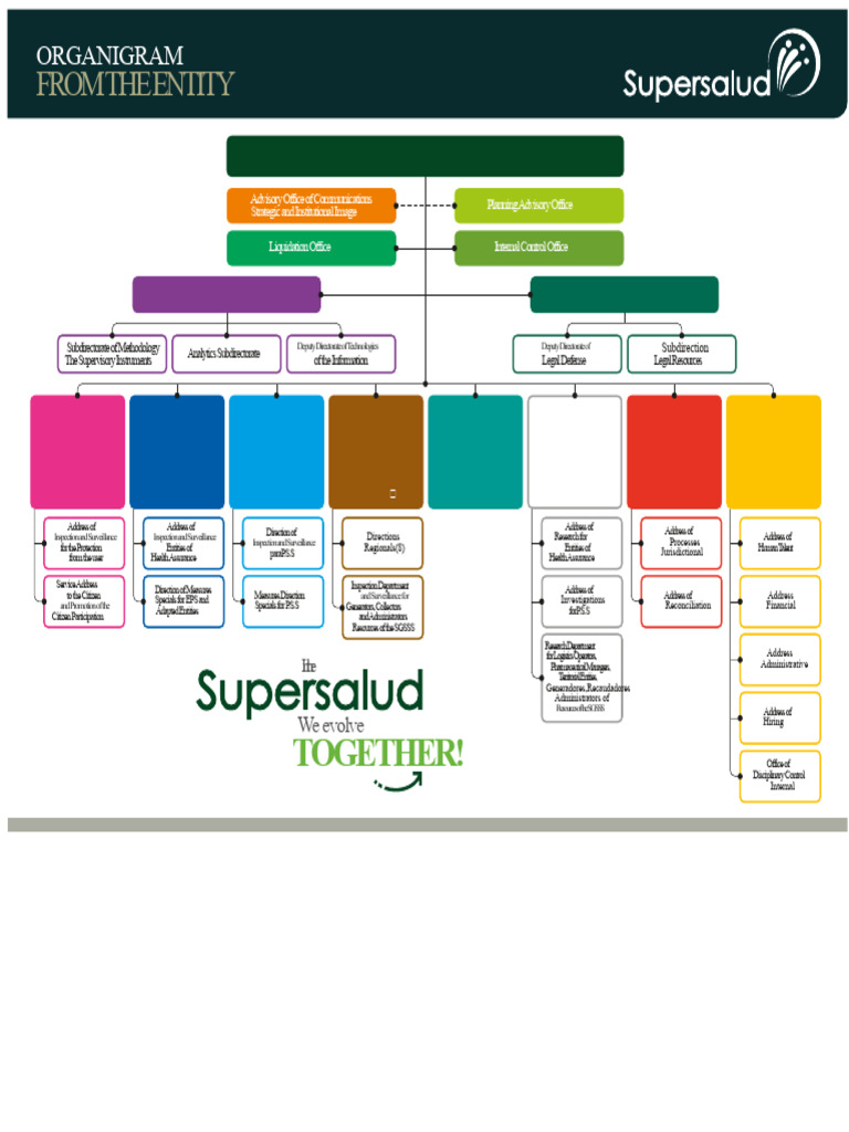 organizational chart-national-superintendency-of-health | PDF ...