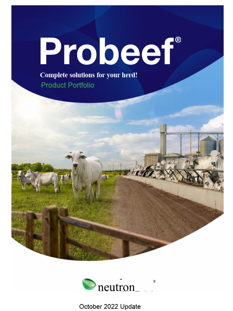 Portfolio Probeef 10 - 2022 | PDF | Magnesium | Nutrients