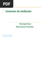 Anatomie et divisions du médiastin | PDF | Aorte | Thymus (anatomie)