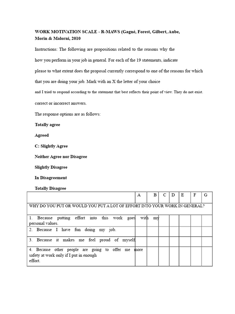Work Motivation Scale | PDF