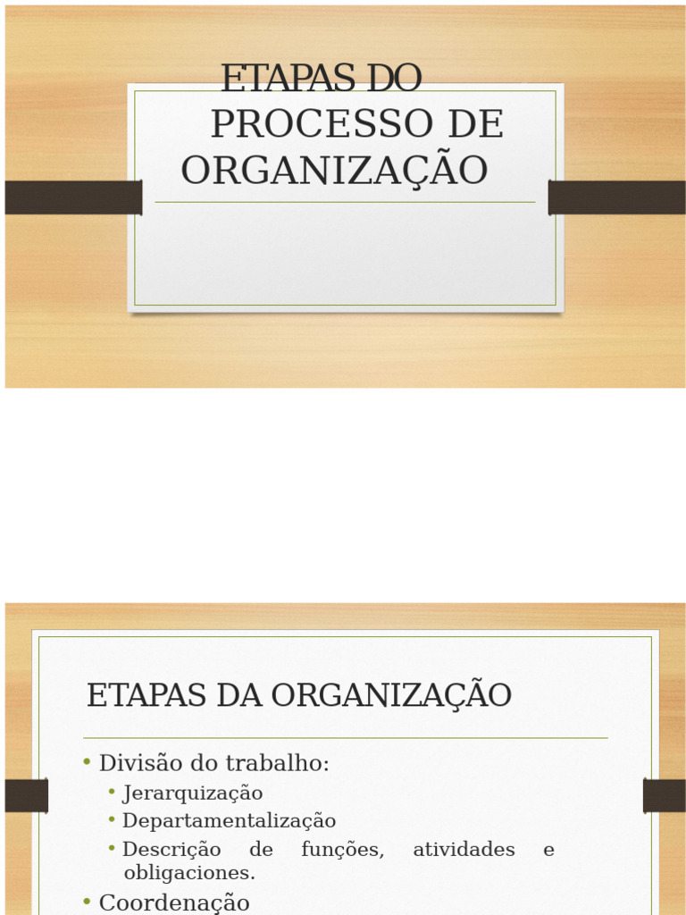 Etapas Do Processo de Organização | PDF
