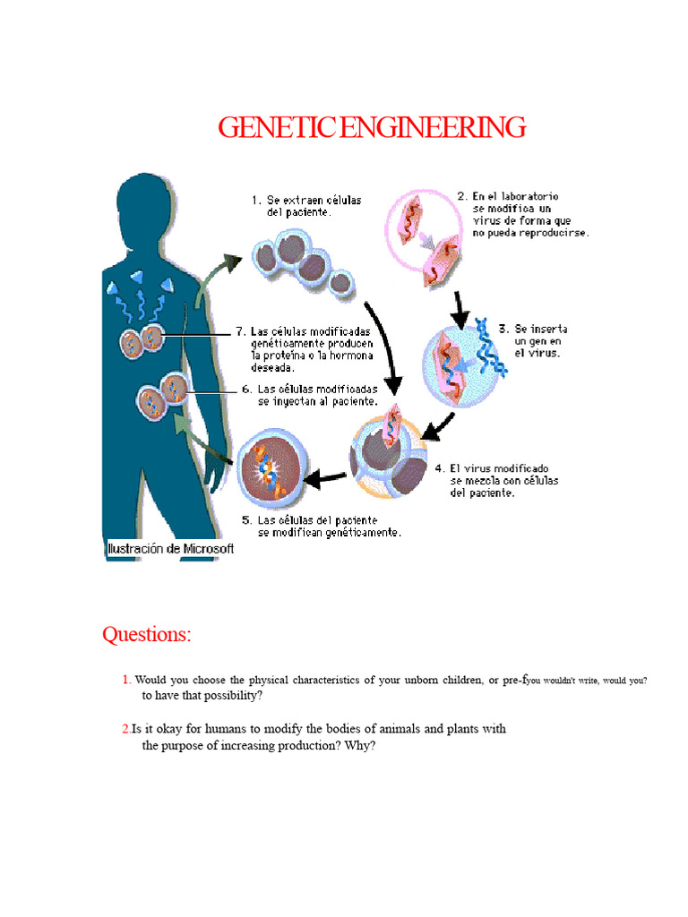 Understanding Genetic Engineering Ethics | PDF | Genetics | Genetic ...