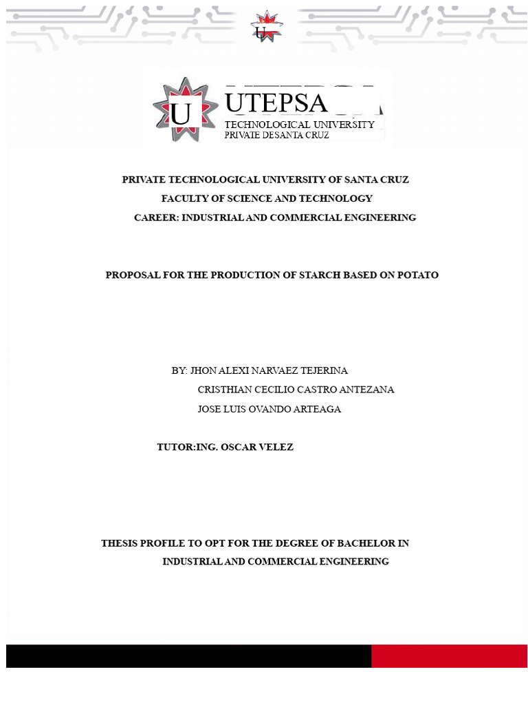 Business Project - Production of Potato Starch | PDF