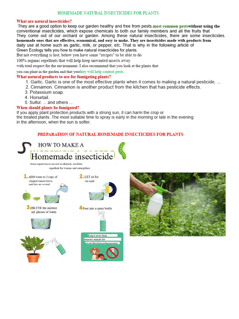 Homemade Natural Insecticides Guide | PDF | Insecticide | Garlic