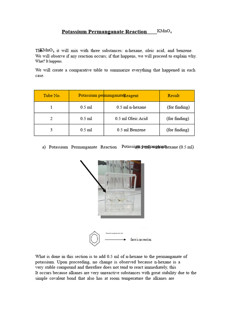 Potassium Permanganate Reaction_Lab9 | PDF | Combustion | Alkene