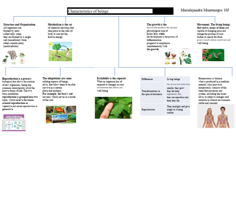 Understanding Life: Cells, Growth, and Reproduction | PDF ...