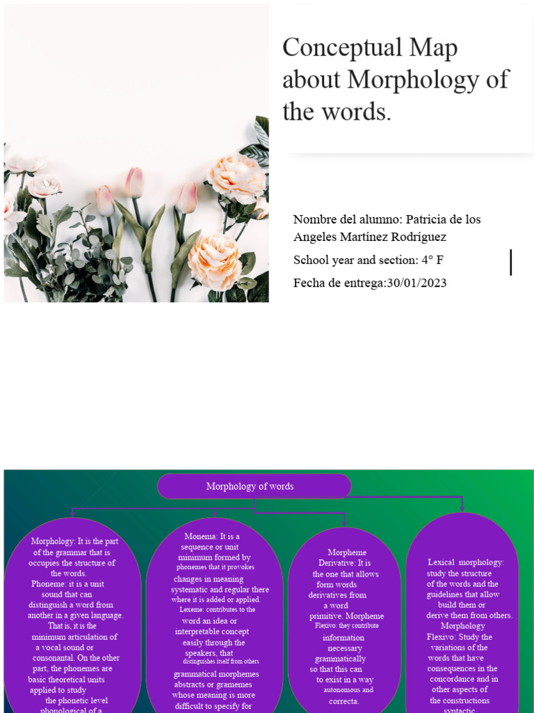 Conceptual Map on Word Morphology | PDF | Word | Morphology (Linguistics)