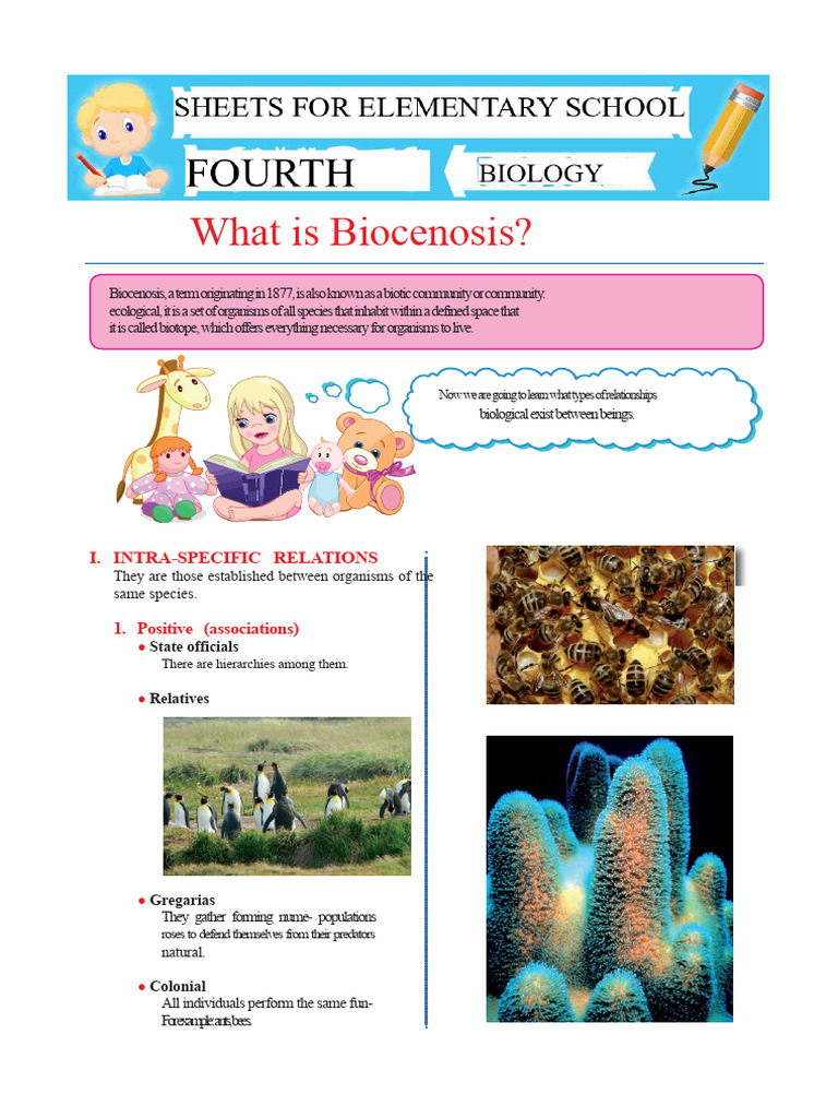 What is biocenosis for fourth grade? | PDF | Biology | Ecology