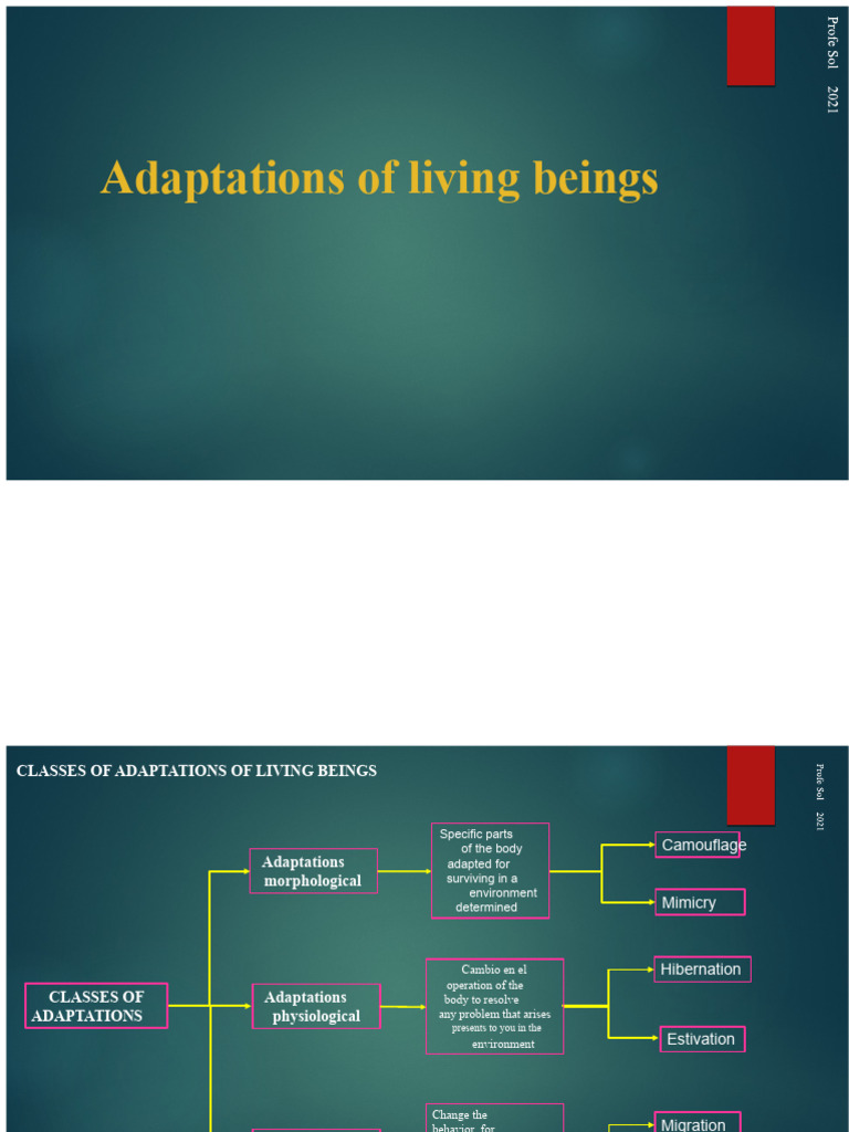 adaptations of living beings | PDF | Adaptation | Mimicry