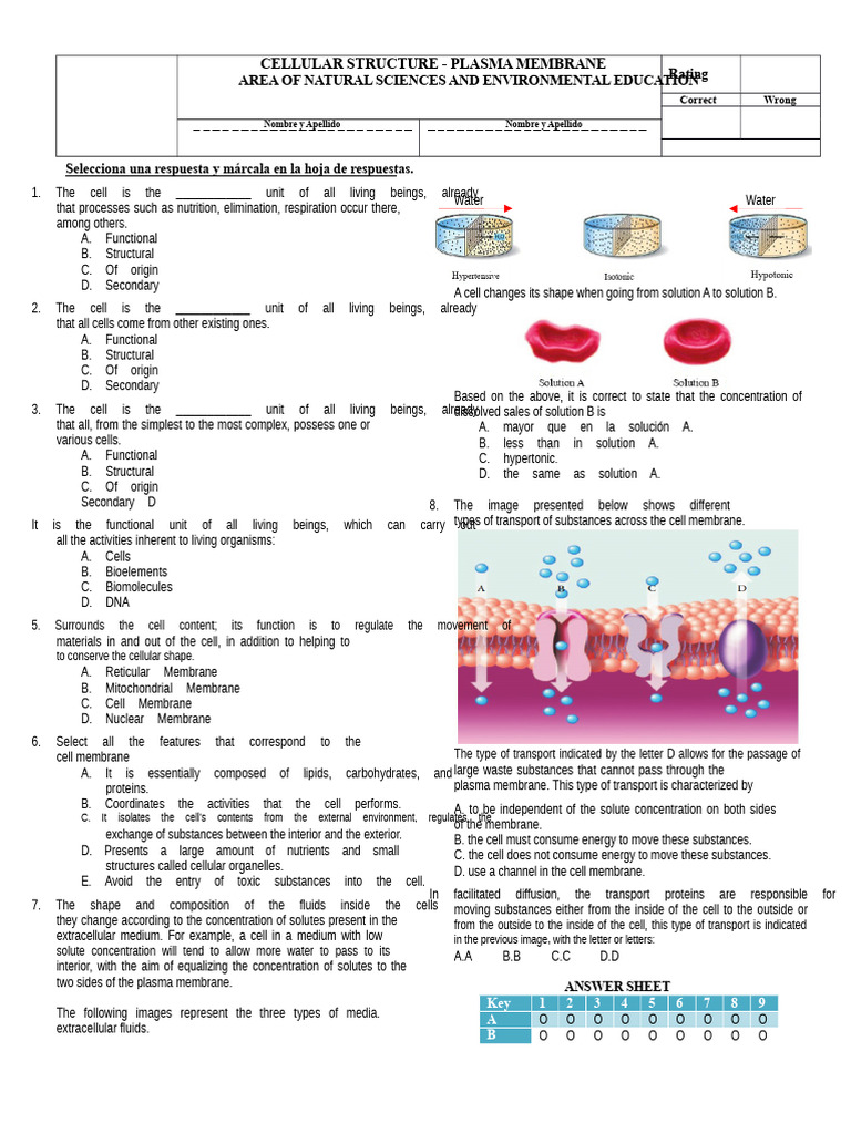 Cellular Structure Assessment - Plasma Membrane | PDF | Cell Membrane ...
