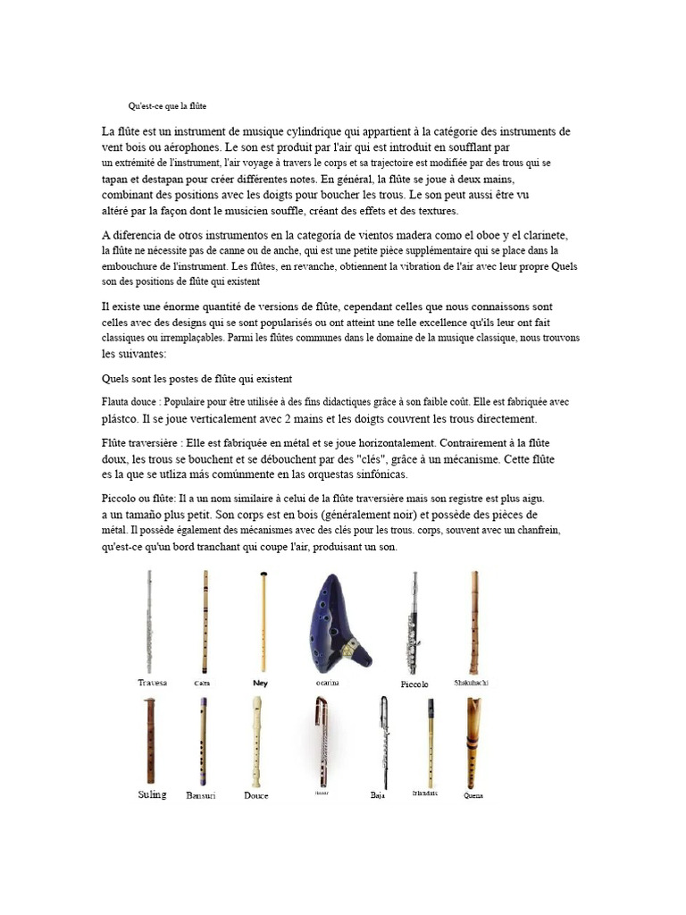 Types et histoire de la flûte musicale | PDF | Flûte | Instruments de ...