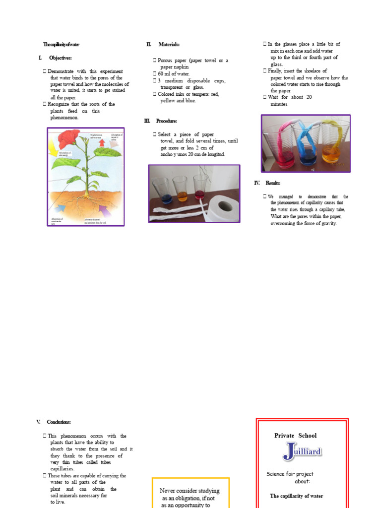 The Capillarity of Water | PDF