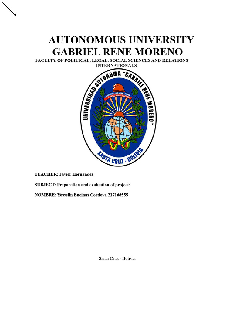 COMPLETED WINE PROJECT | PDF | Internal Rate Of Return | Bolivia