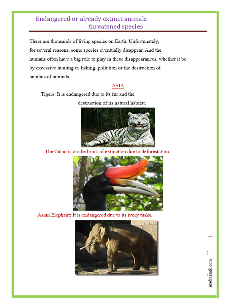Endangered and Extinct Animal Species | PDF | Endangered Species | Hunting