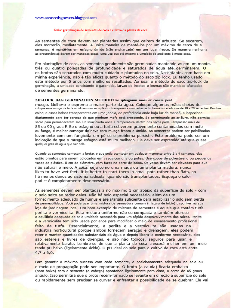 Germinação e Cultivo de Sementes de Coca | PDF | Plantas | Musgo