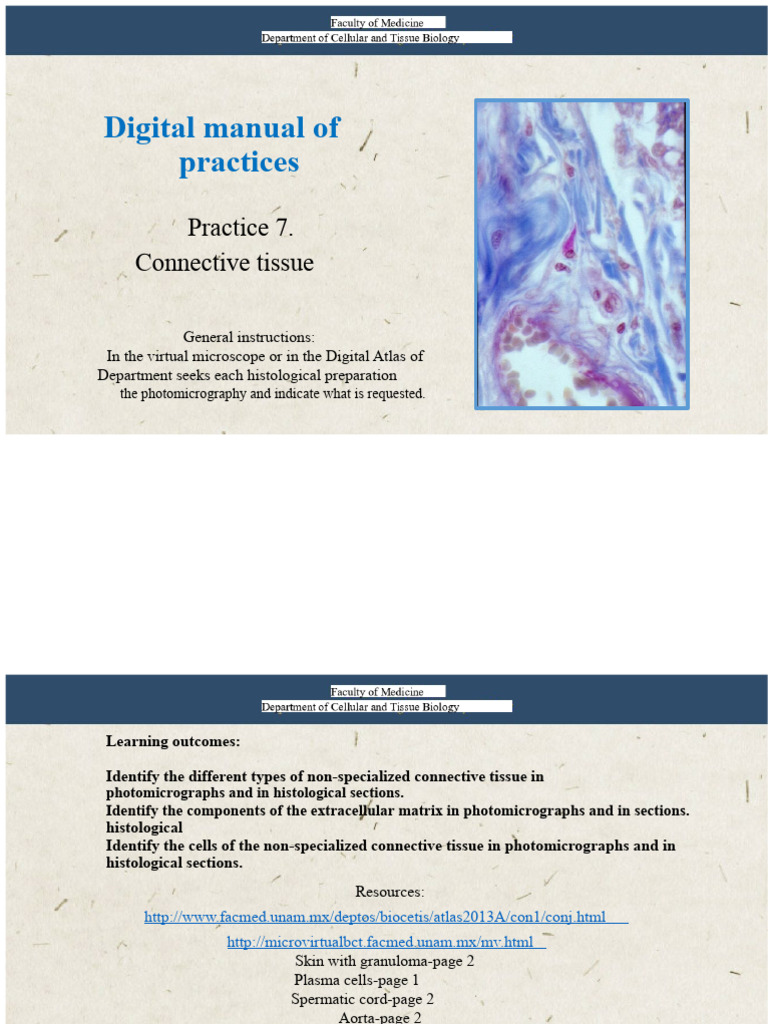 I Share 'PRACTICE-7.-CONNECTIVE-TISSUE' With You PDF | PDF | Connective ...