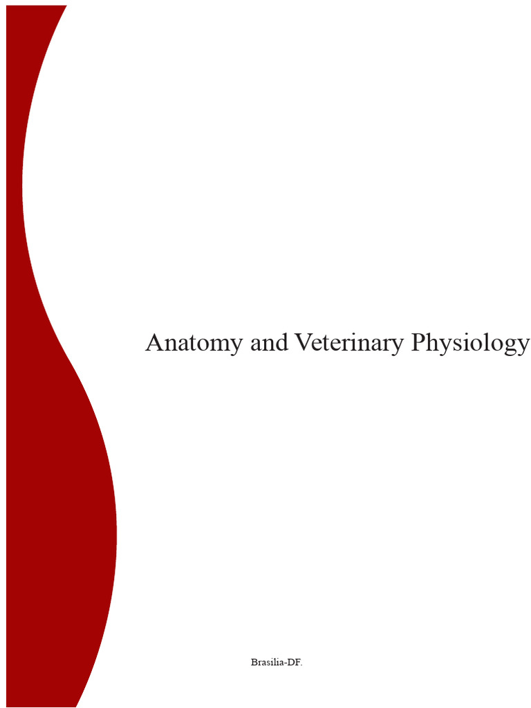 veterinary_anatomy_and_physiology | PDF | Vertebra | Anatomical Terms ...
