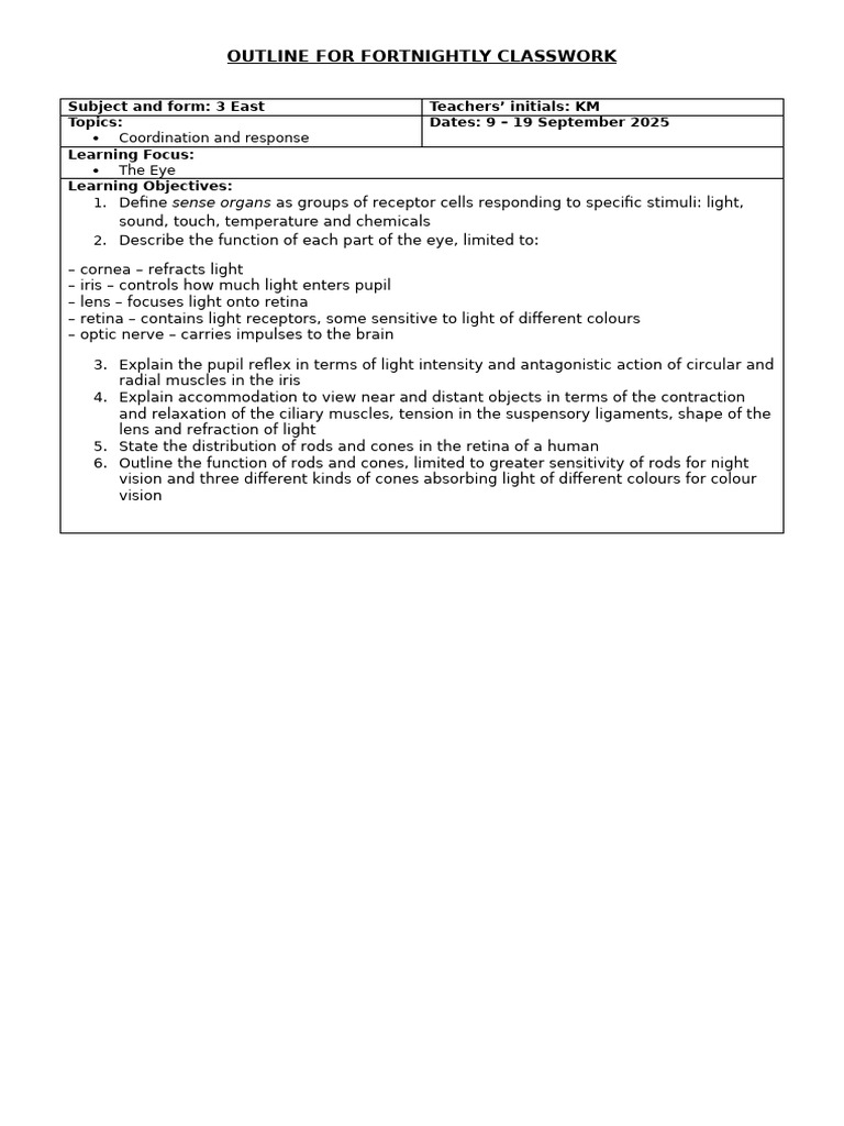 Eye Coordination Classwork Outline | PDF