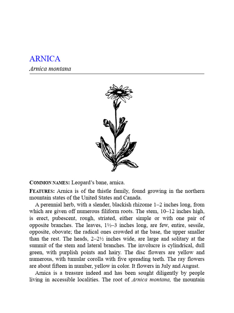 A Handbook of Native American Herbs-04 | PDF | Diseases And Disorders