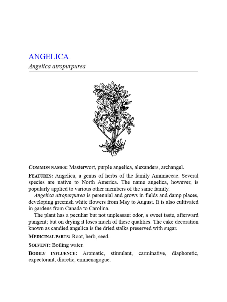 A Handbook of Native American Herbs-03 | PDF