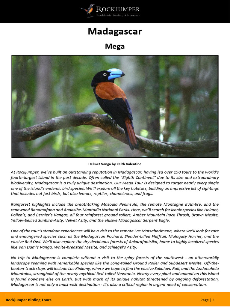 Madagascar Mega Birding Tour Guide | PDF | Birds