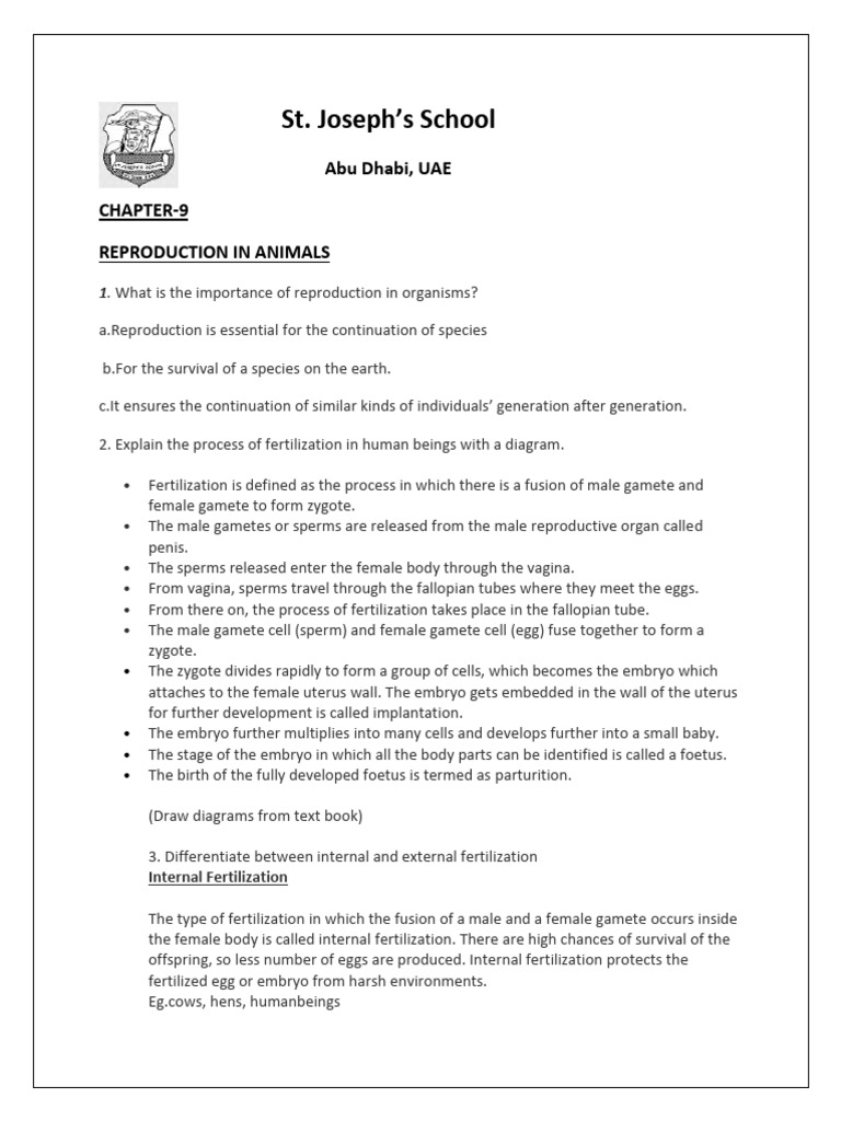 Reproduction in Animals | PDF | Fertilisation | Sexual Reproduction