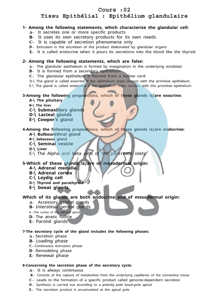 Glandular Cell Functions and Types Explained | PDF | Pancreas ...