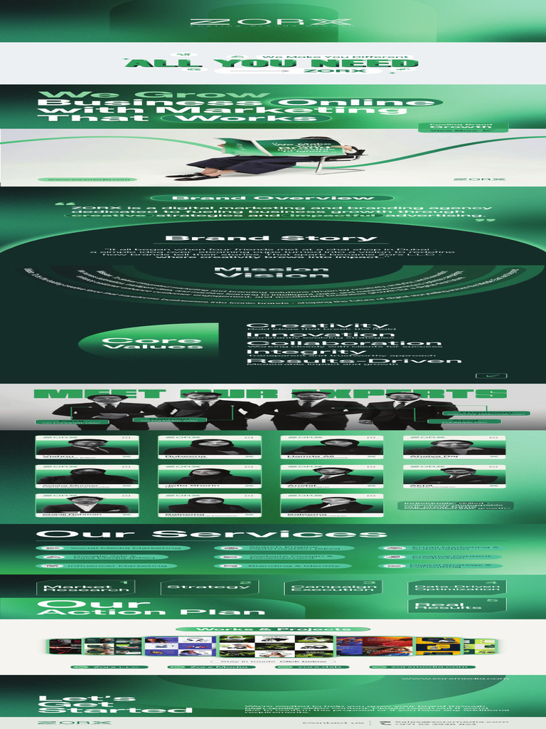 Brand Profile Zorx | PDF