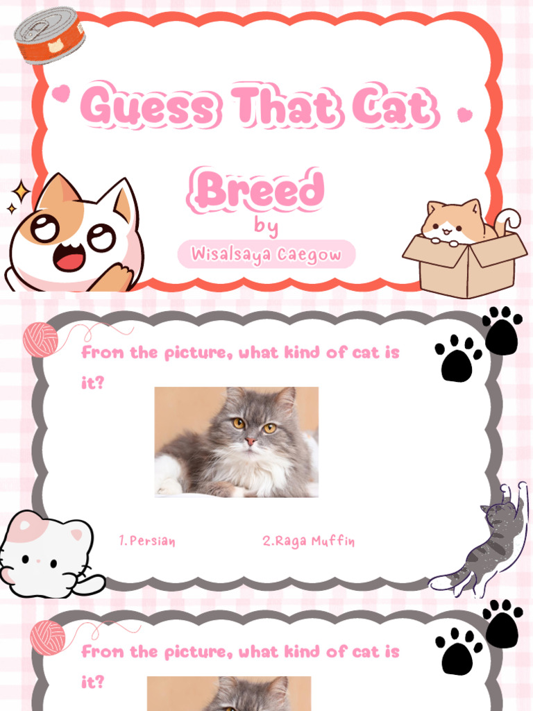 Guess That Cat Breed | PDF