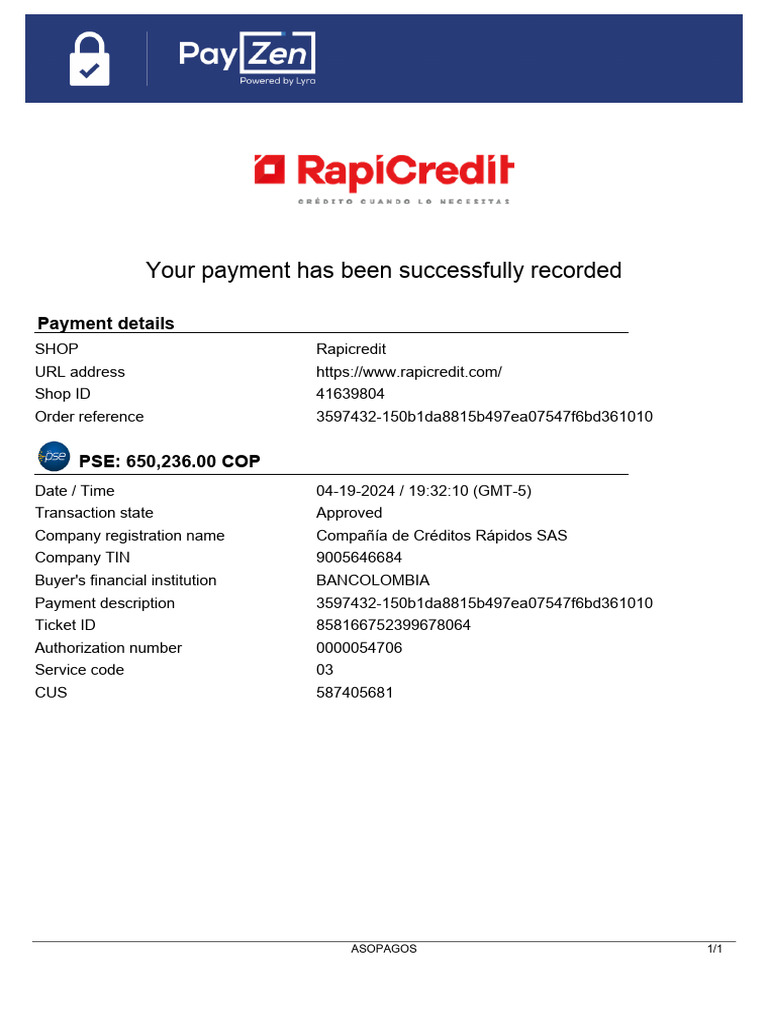 Successful Payment Confirmation Details | PDF