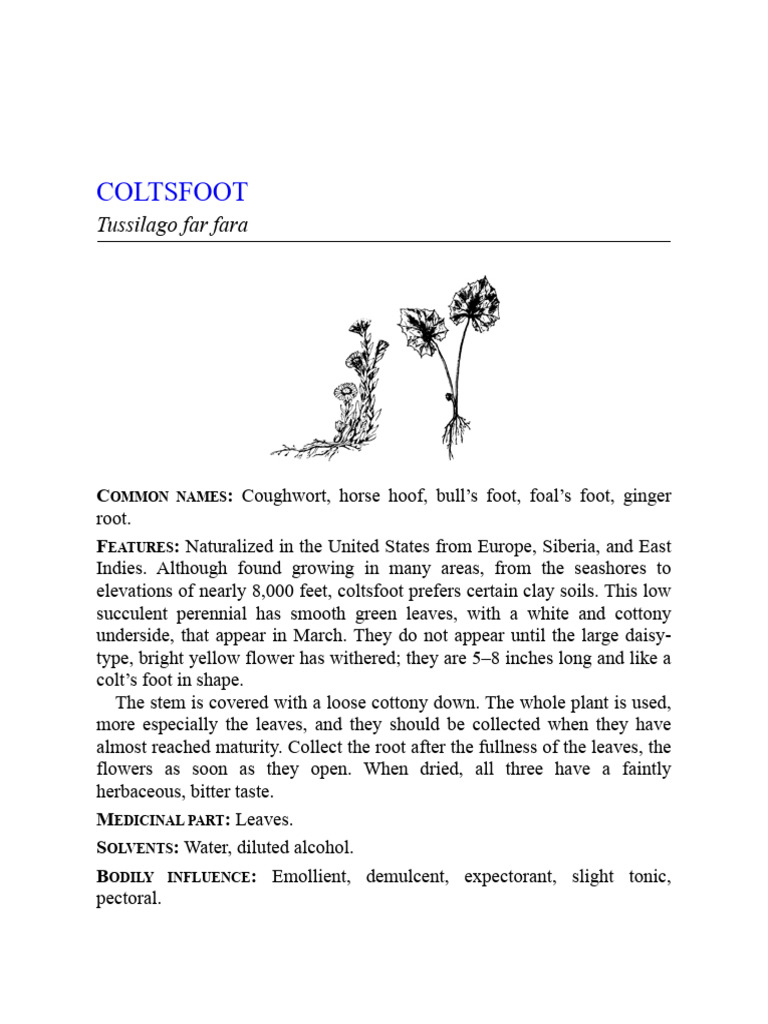 A Handbook of Native American Herbs-06 | PDF | Diseases And Disorders