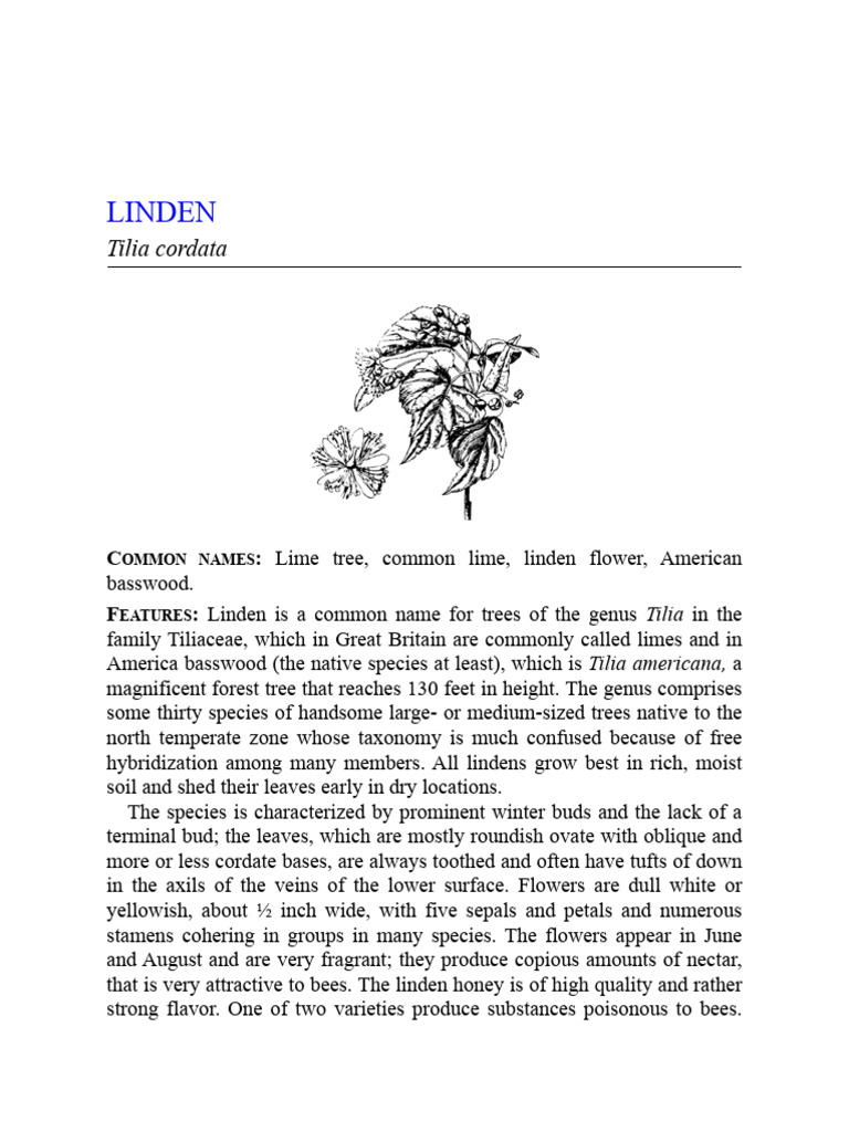 A Handbook of Native American Herbs-17 | PDF