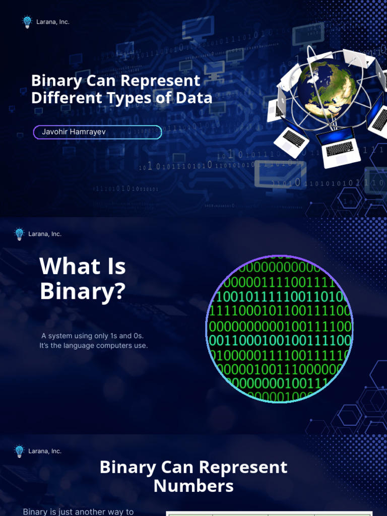 Binary Can Represent Different Types of Data | PDF