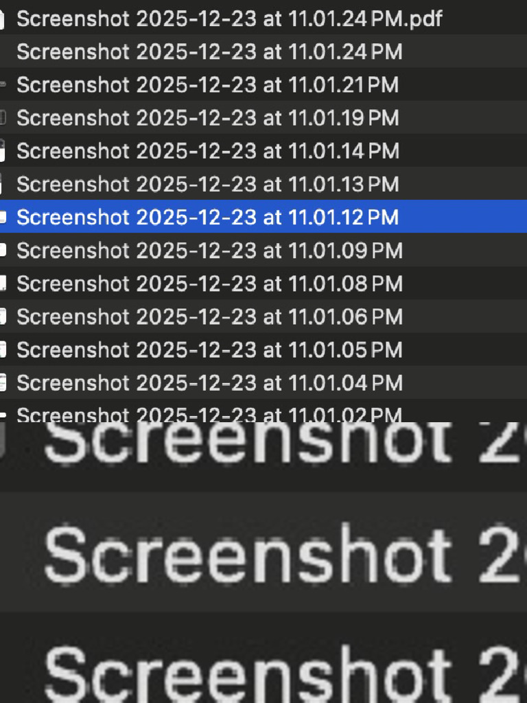 Screenshot 2025-12-23 at 11.01.34 PM | PDF