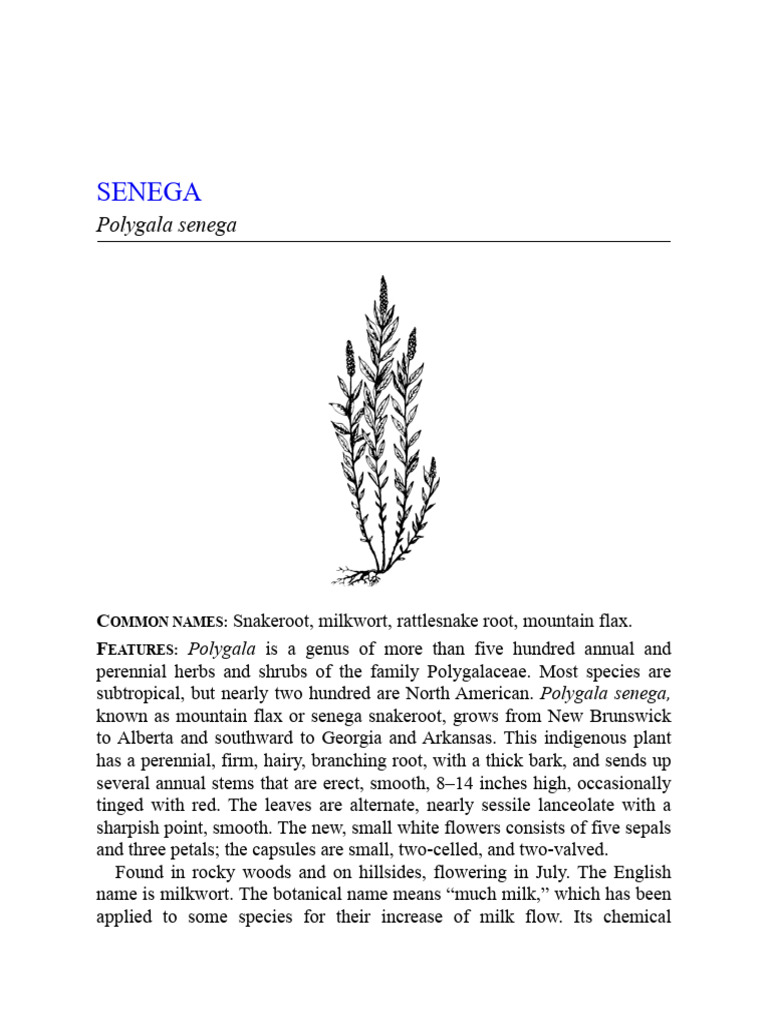 A Handbook of Native American Herbs-27 | PDF | Cough