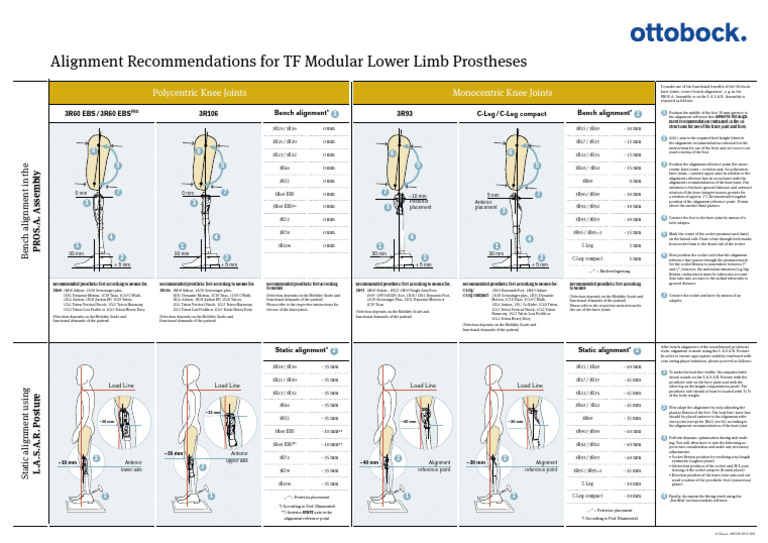 Bench Alignment for Knee Prostheses | PDF | Foot | Prosthesis
