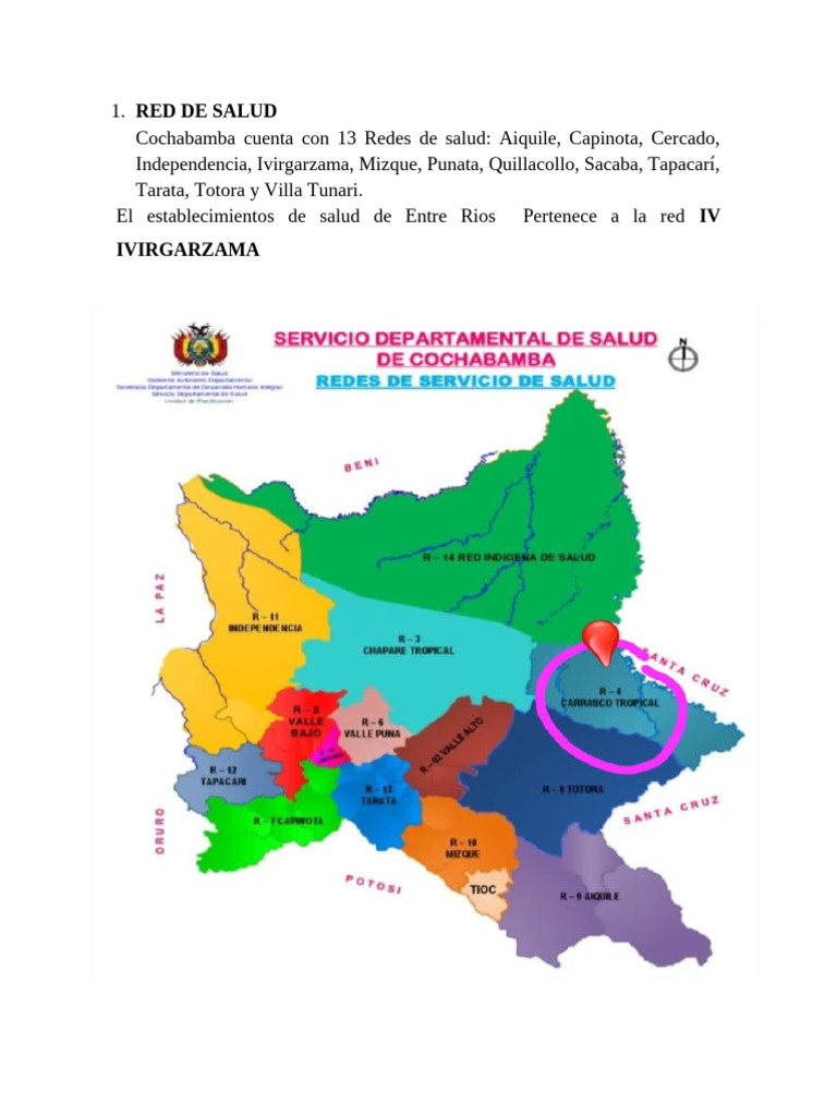 Red de Salud IV-Ivirgarzama en Cochabamba | PDF