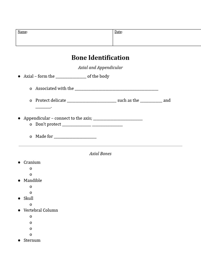 3 6 5.3+Bone+Identification+NP.docx | PDF