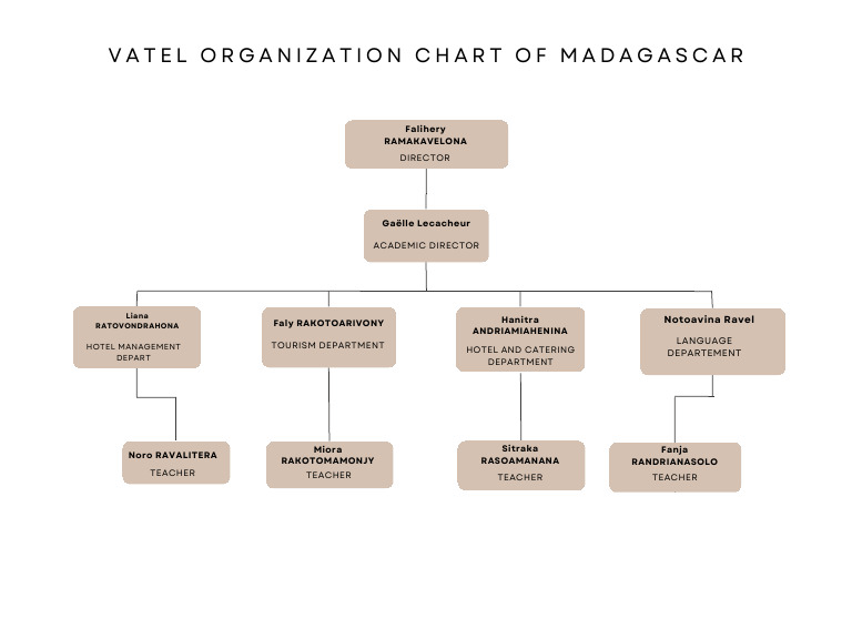 Neutral Beige Minimalist Corporate Company Organizational Chart | PDF