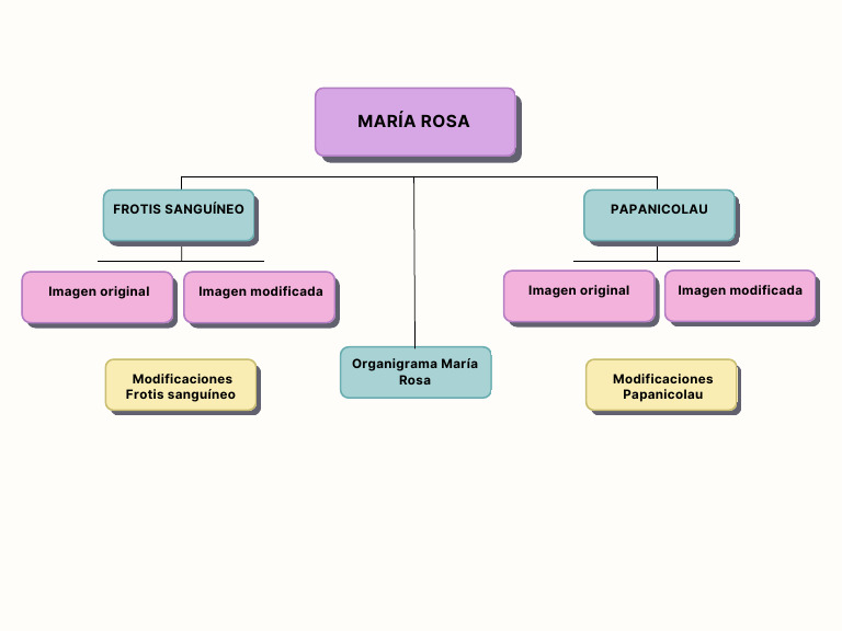 Pink Colorful Modern Organizational Chart Graph PDF | PDF