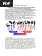 Dryopithecus | PDF | Hominidae | Homo Sapiens