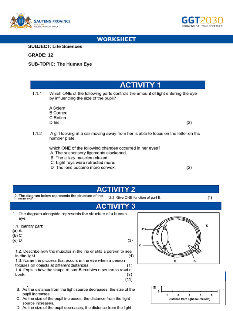 The Human Eye Worksheet | PDF